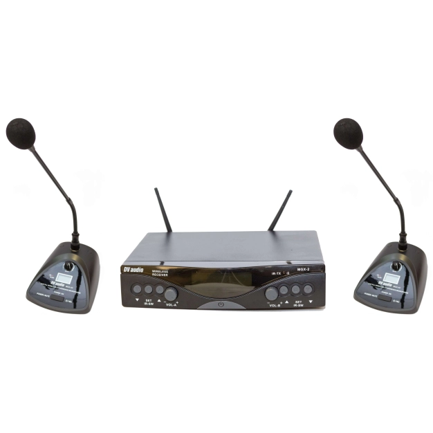 Радіосистема DV audio MGX-24С Dual здвоєна